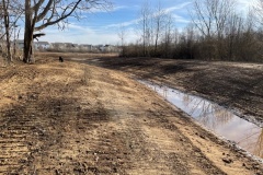 Professional Site Development